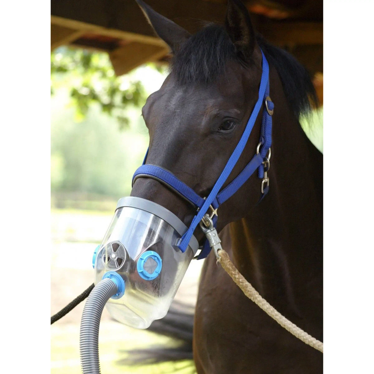 Inhalator dla konia AirOne, sieciowy, z maską dla koni, Hippomed 3617 ...